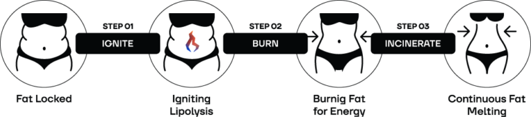 Modern Human Weight Loss | Primal Bod