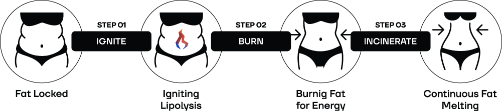 Modern Human Weight Loss | Primal Bod